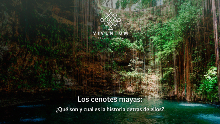 Los cenotes mayas: ¿Qué son y cuál es la historia detrás de ellos ...